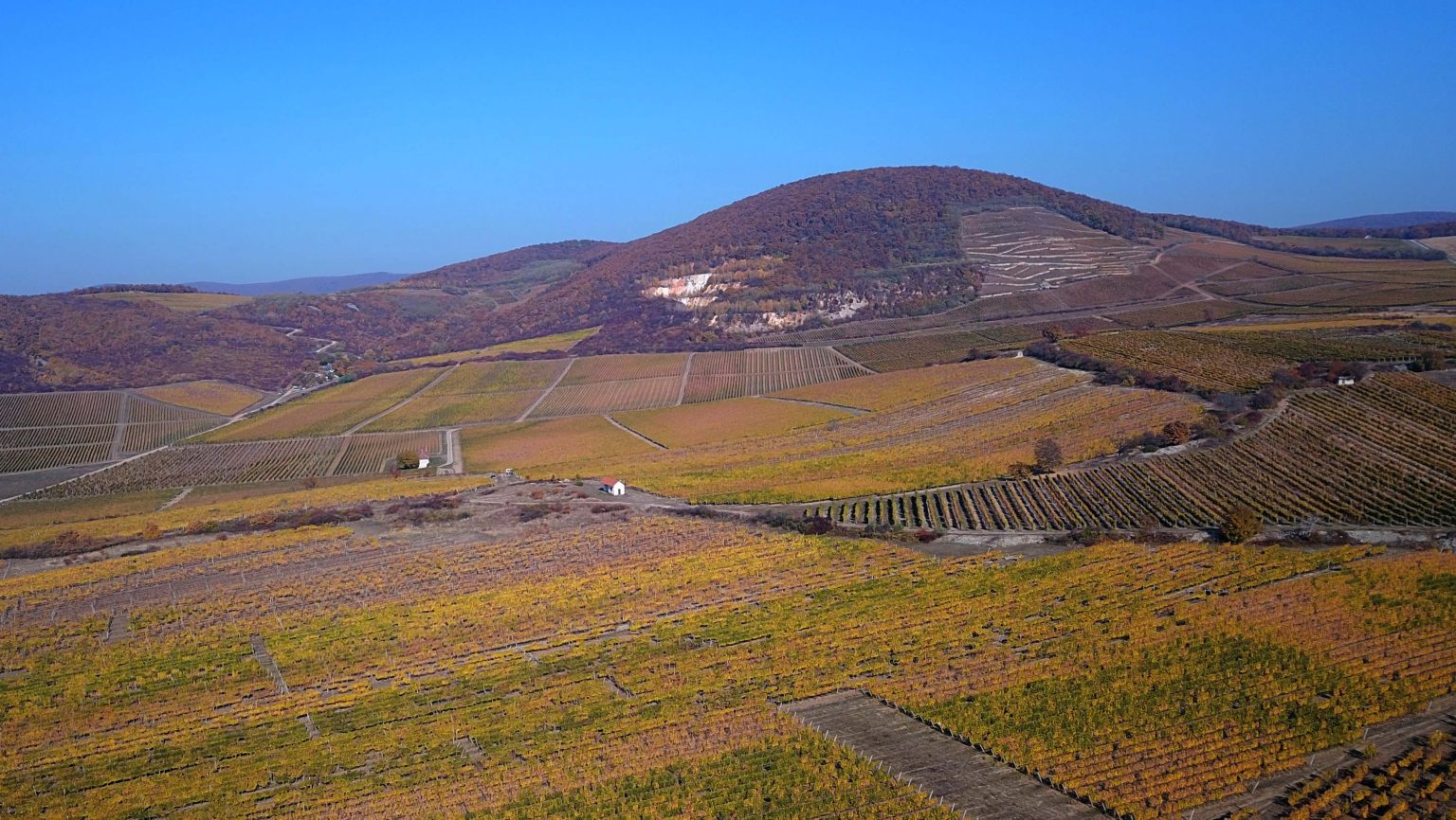 Tokaj kincse: A Király – hegy – Bor és Piac